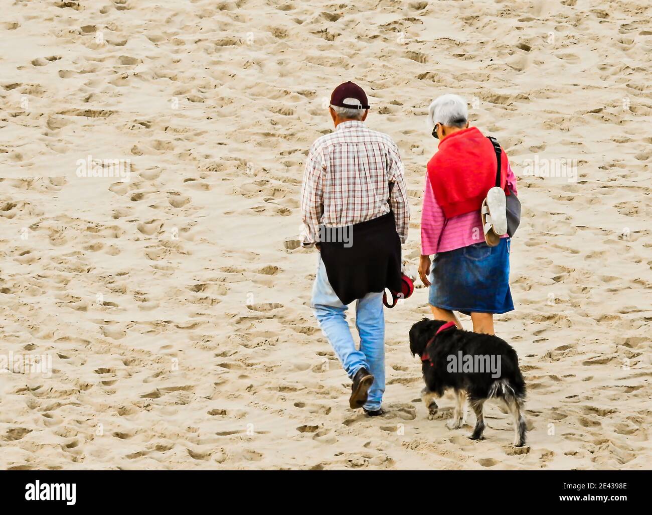 Elderly couple walking with a dog on a sandy beach Stock Photo - Alamy