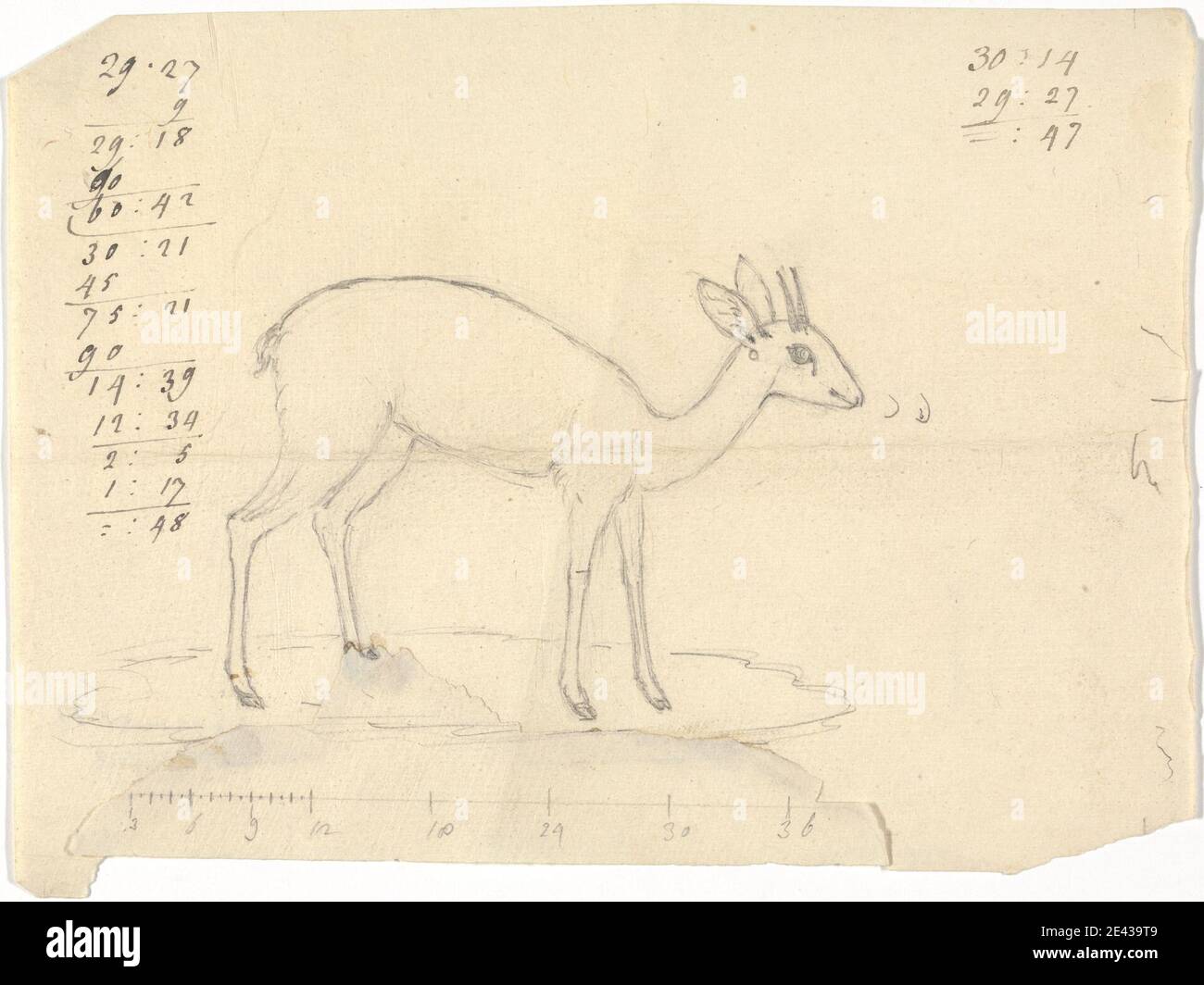 Luigi Balugani, 1737â€“1770, Italian, Study of a Deer, undated ...