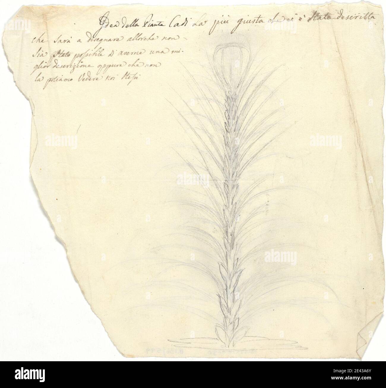 Graphite with brown ink Cut Out Stock Images & Pictures - Alamy