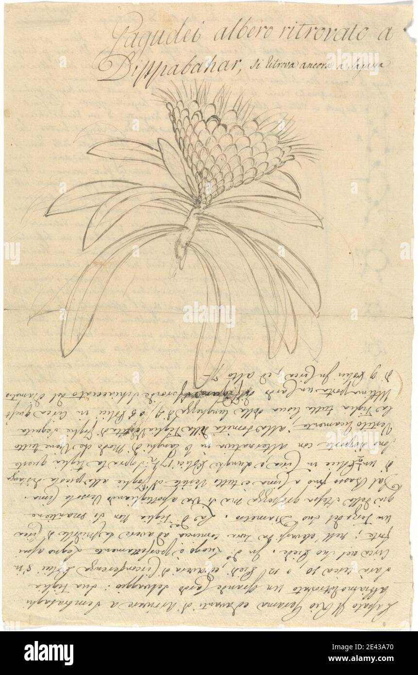 Graphite with brown ink Cut Out Stock Images & Pictures - Alamy