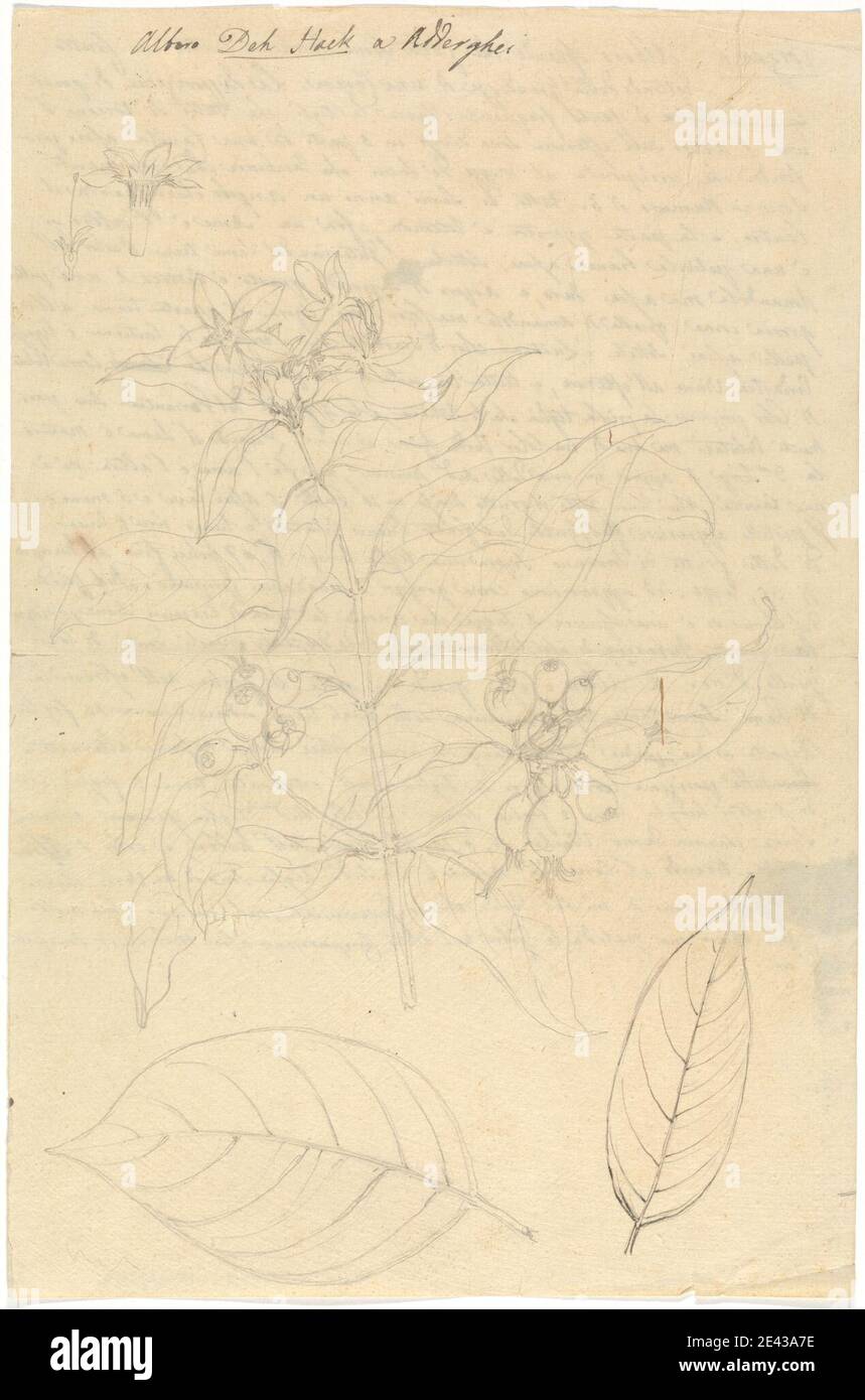 Graphite with brown ink Cut Out Stock Images & Pictures - Alamy