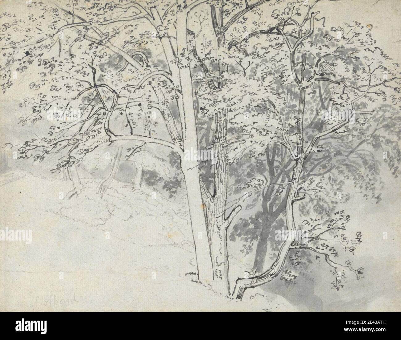 Thomas Stothard, 1755â€“1834, British, Study of Trees, undated ...