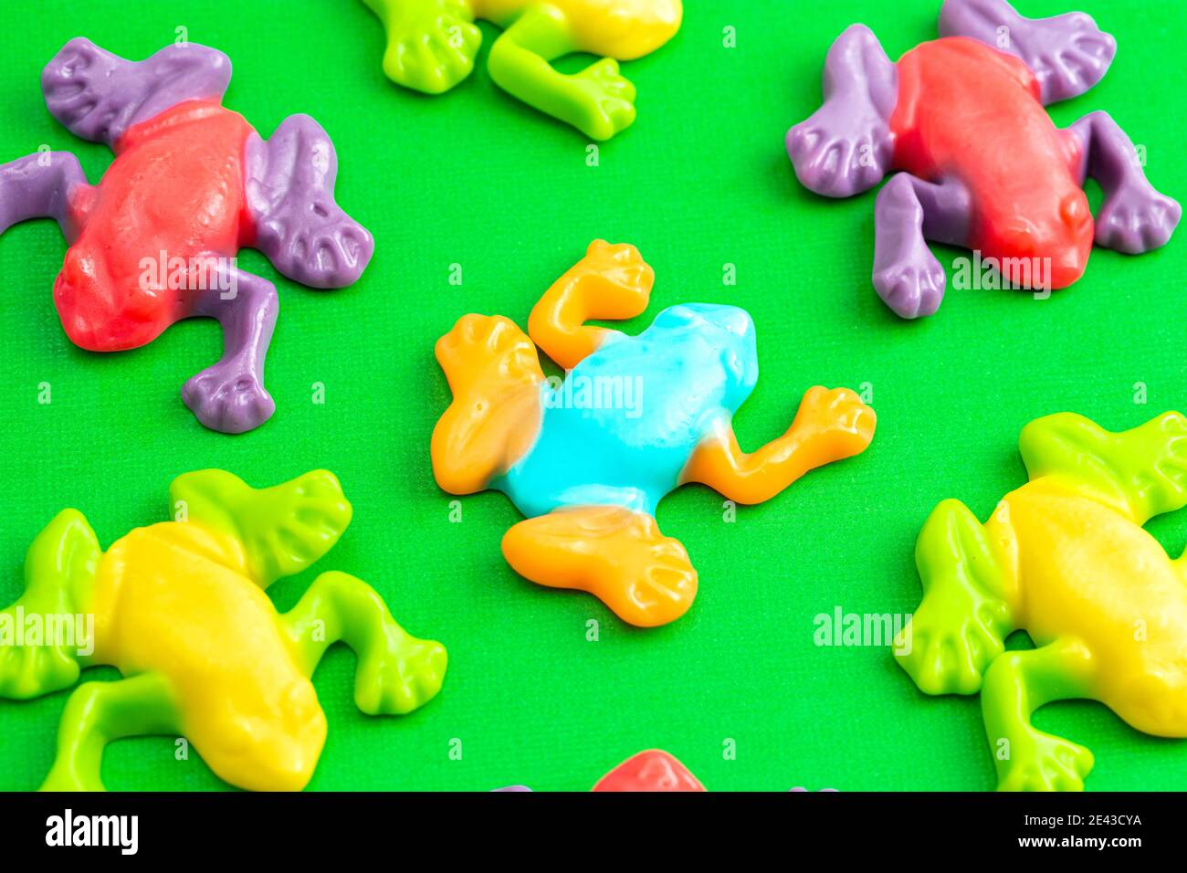 Group tree frogs tree hi-res stock photography and images - Alamy