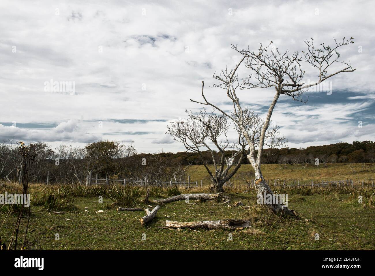 Devastated landscape hi-res stock photography and images - Alamy