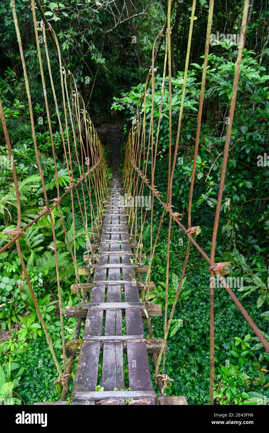 Rope bridge jungle hi-res stock photography and images - Alamy