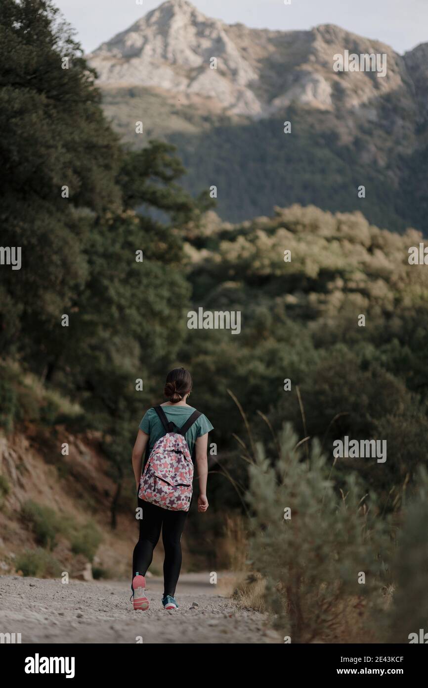 Full body back view of unrecognizable female hiker with backpack ...