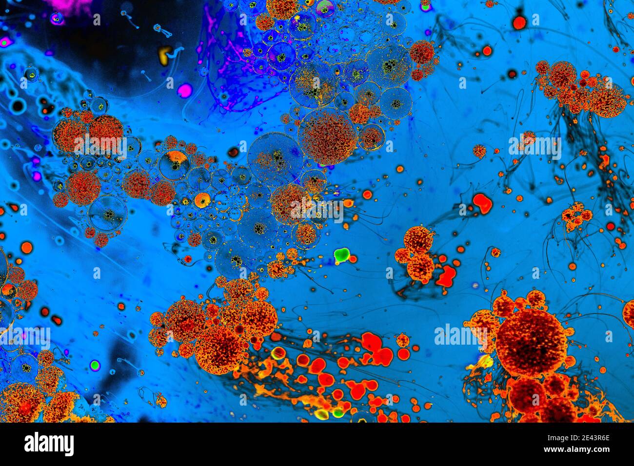 Microscopic shot of the cells of a virus with vivid and vibrant colors ...