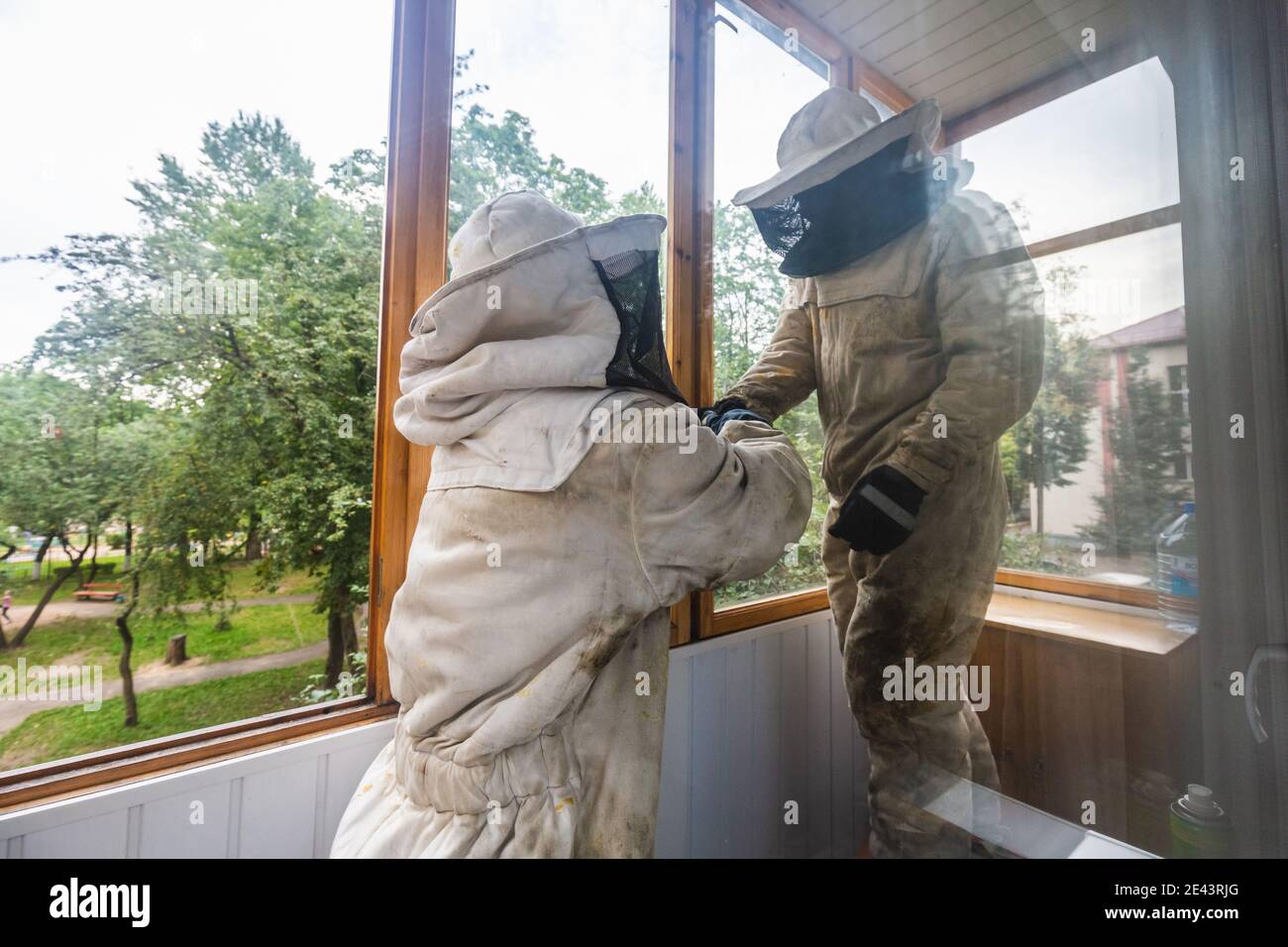 Destruction of the bee nest Stock Photo - Alamy