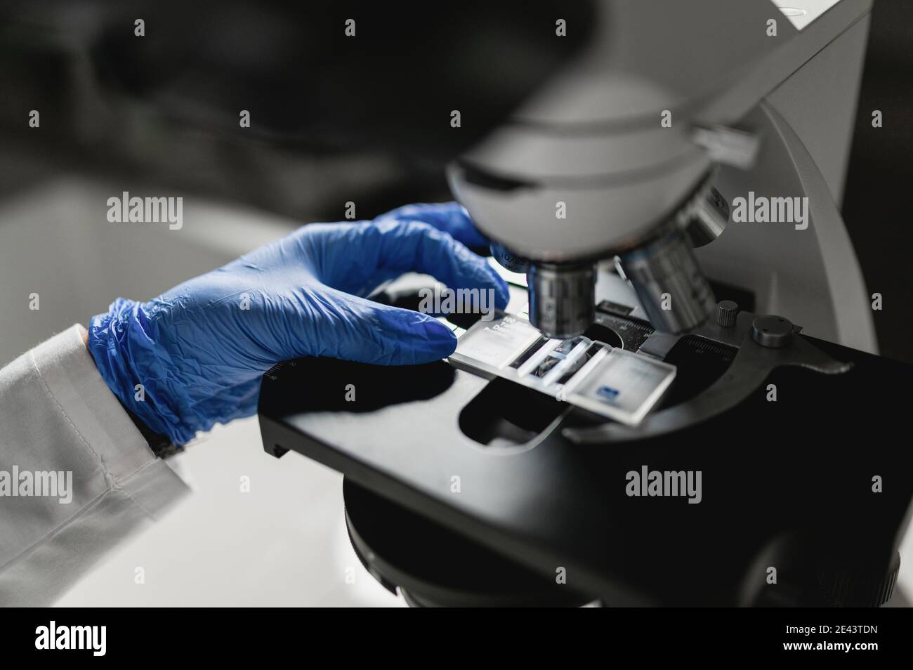 Crop anonymous scientist in protective gloves putting sample under ...