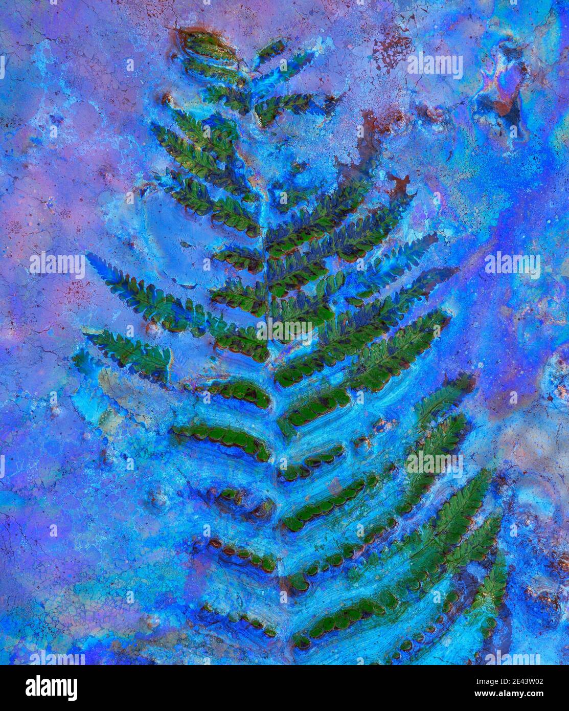 A fern leaf ended up sunk in the biofilm, the particles began to flow ...