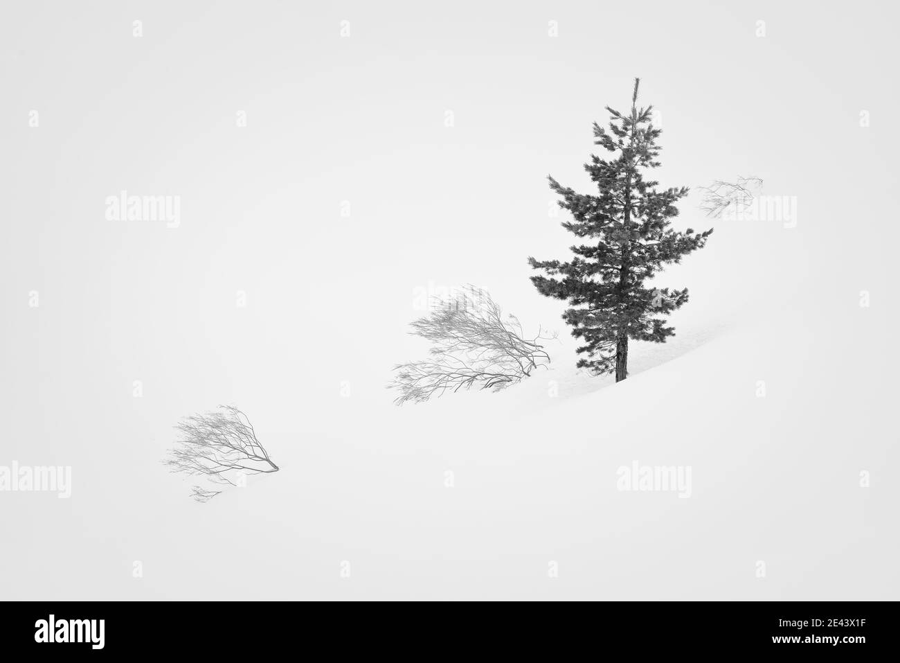 Sunny day in untouched Black and White Stock Photos & Images - Alamy