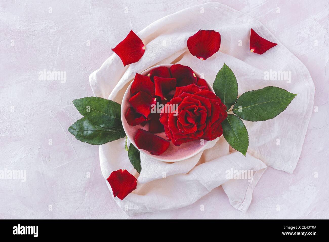 Top view composition of blooming fresh red rose flowers arranged on ...