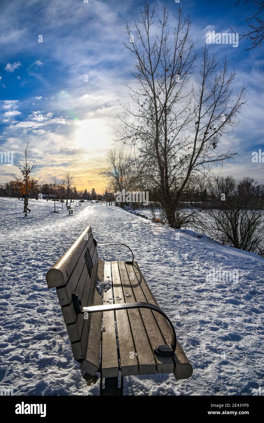 Park Bench in a Cold Winter Day Stock Photo - Alamy