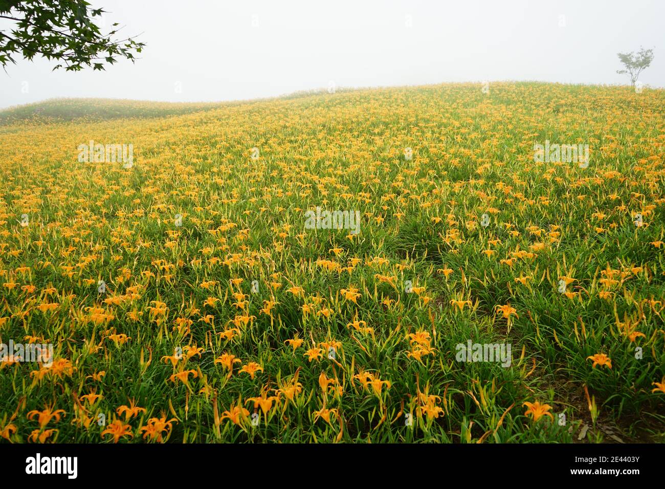 Talampo hi-res stock photography and images - Alamy