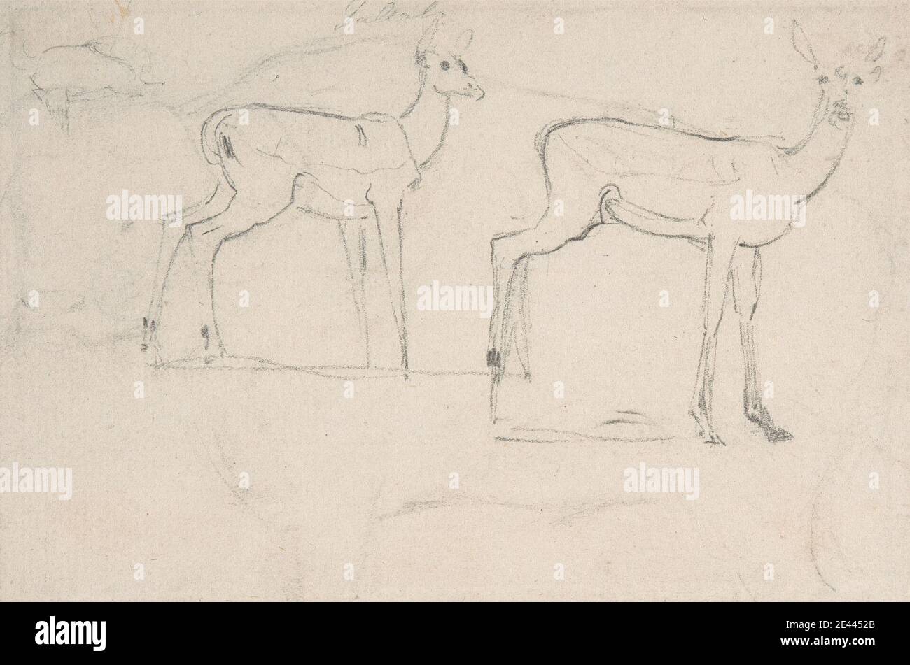 Samuel Daniell, 1775â€“1811, British, Study for Two Standing Pallah ...