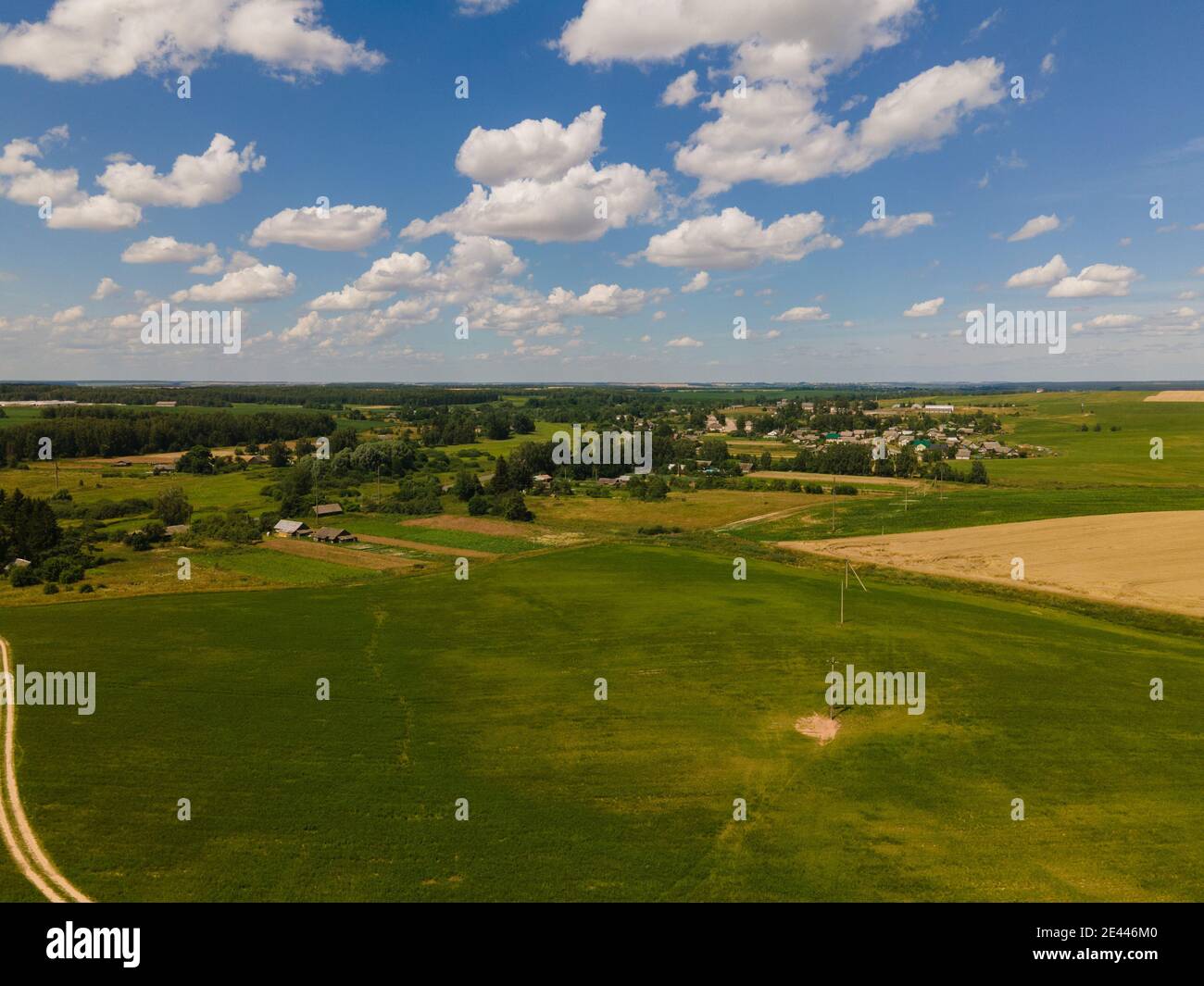View from a flying drone, a field with green grass on a summer day ...