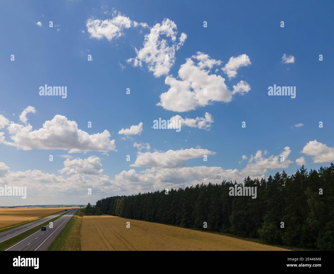 View from a flying drone, a field with green grass on a summer day ...