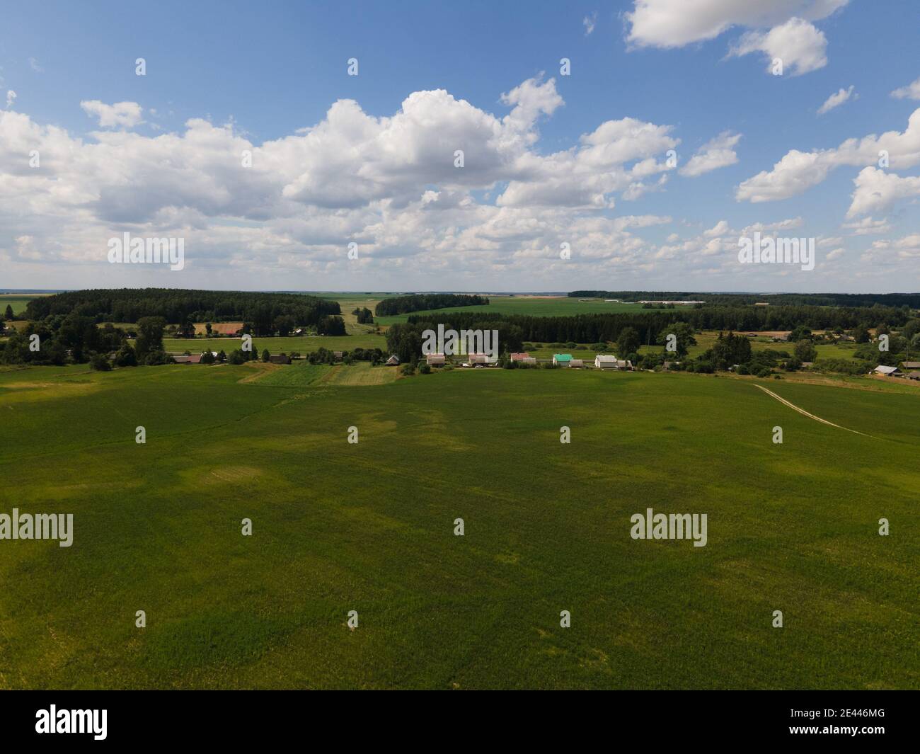 View from a flying drone, a field with green grass on a summer day ...