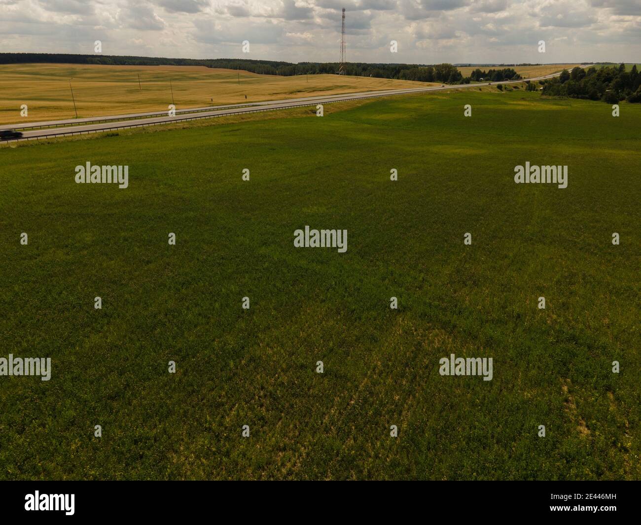 View from a flying drone, a field with green grass on a summer day ...