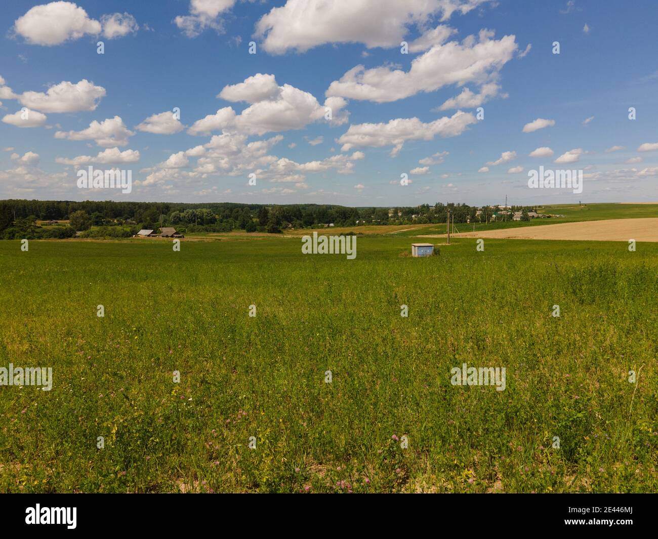 View from a flying drone, a field with green grass on a summer day ...