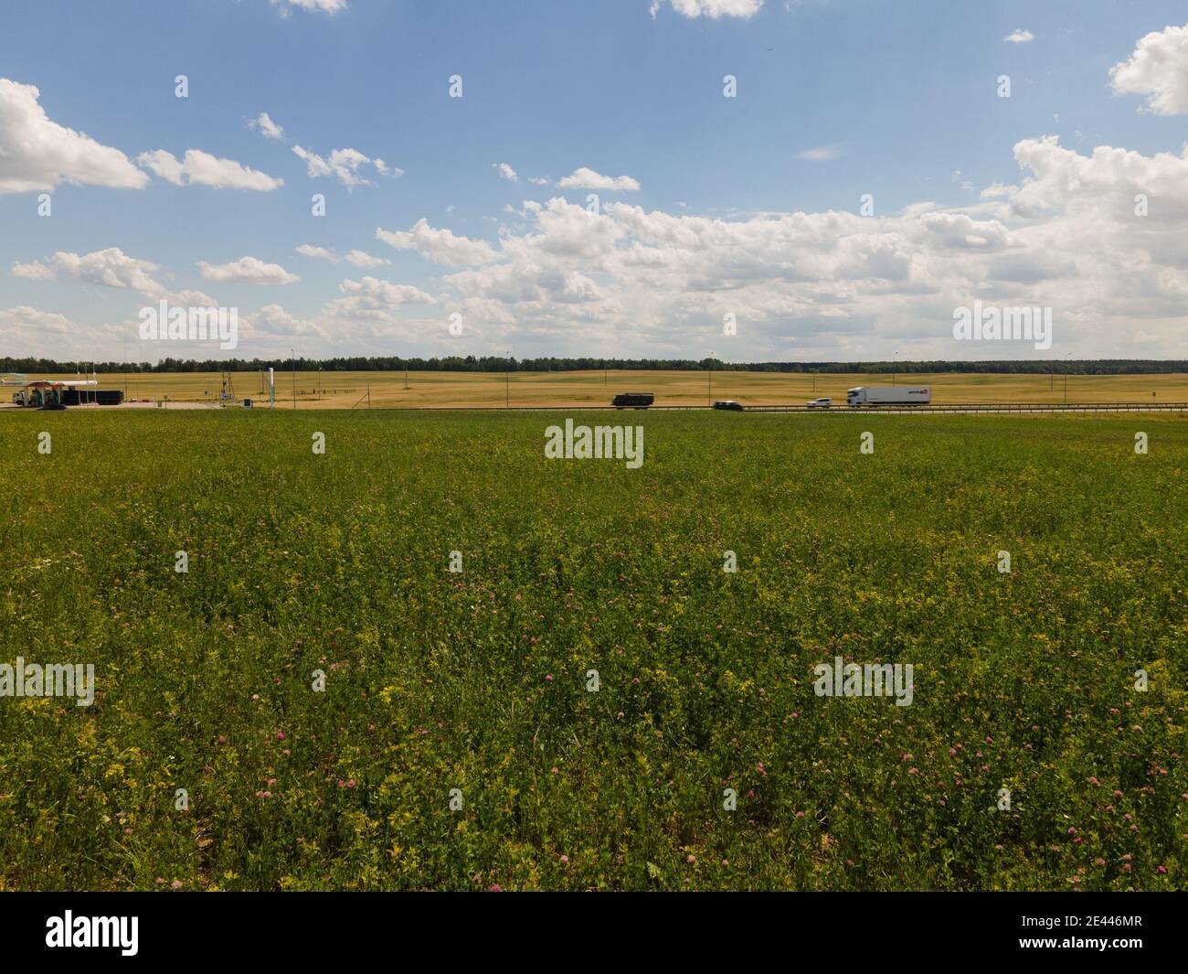 View from a flying drone, a field with green grass on a summer day ...
