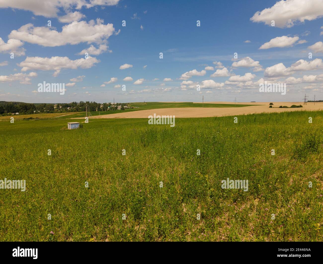 View from a flying drone, a field with green grass on a summer day ...