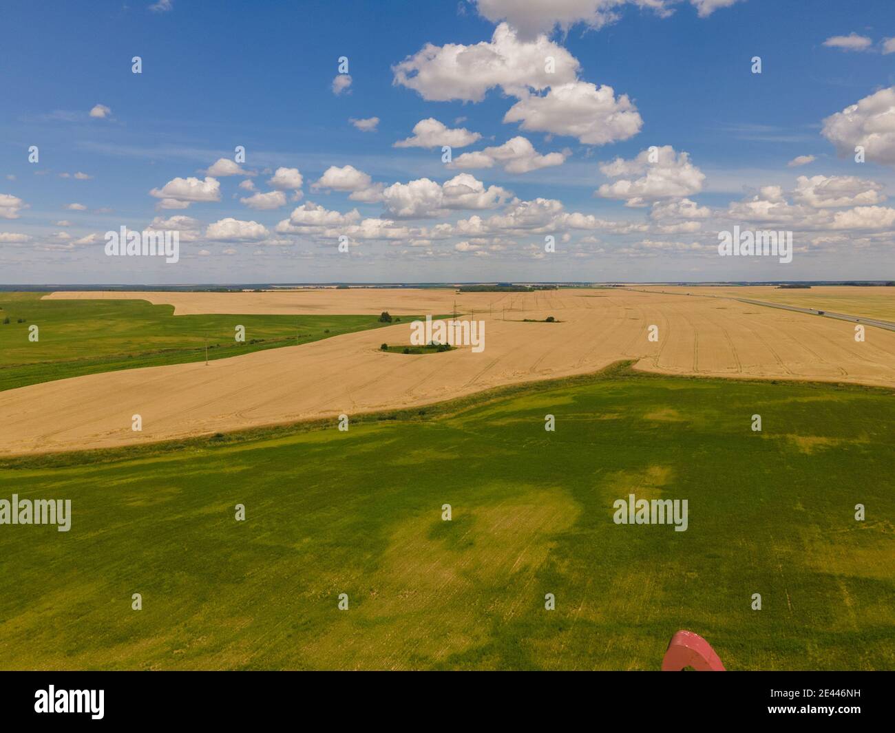 View from a flying drone, a field with green grass on a summer day ...