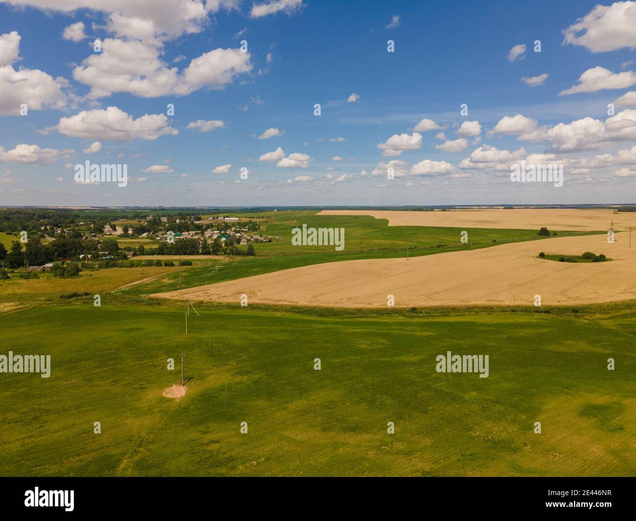 View from a flying drone, a field with green grass on a summer day ...