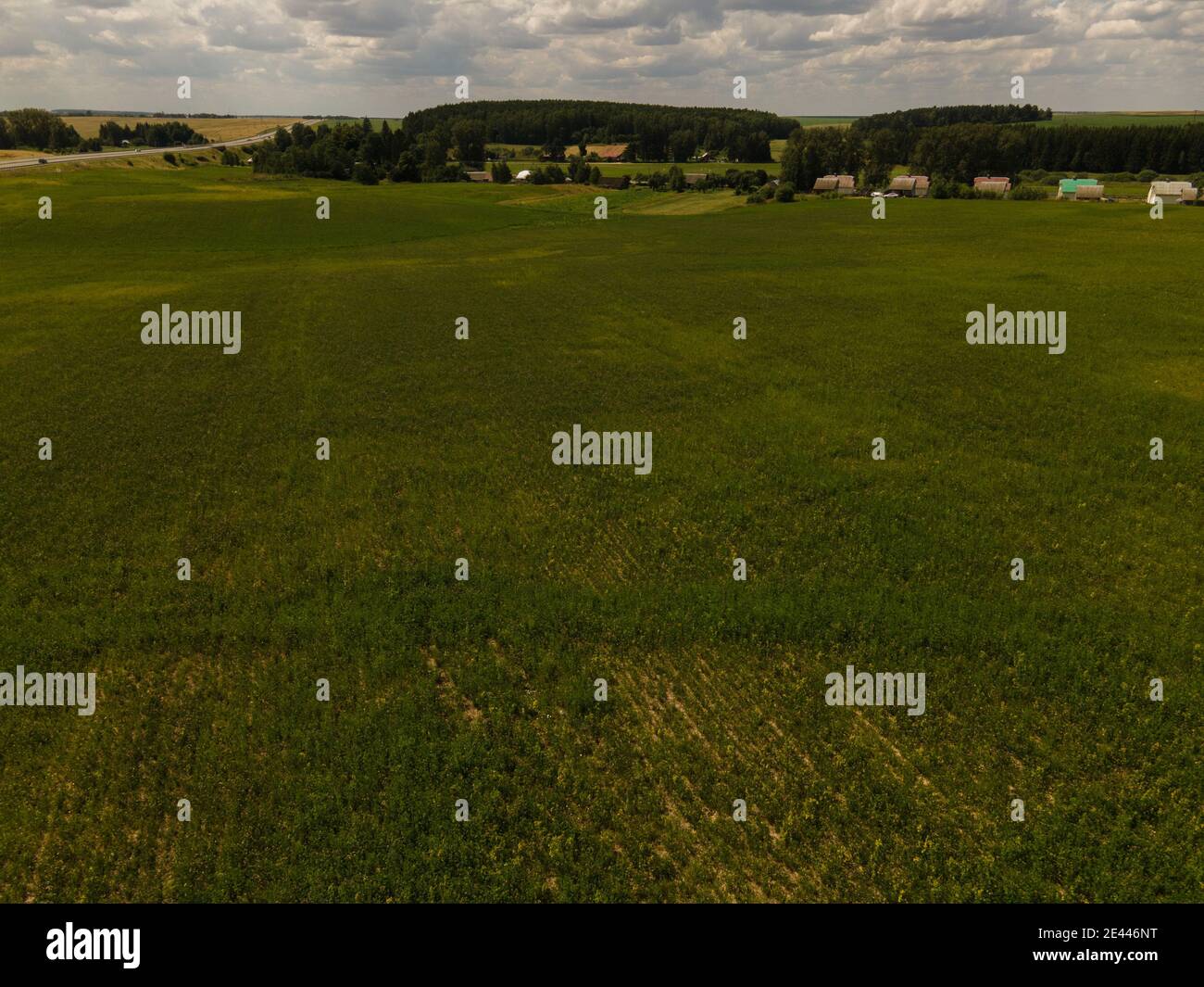 View from a flying drone, a field with green grass on a summer day ...