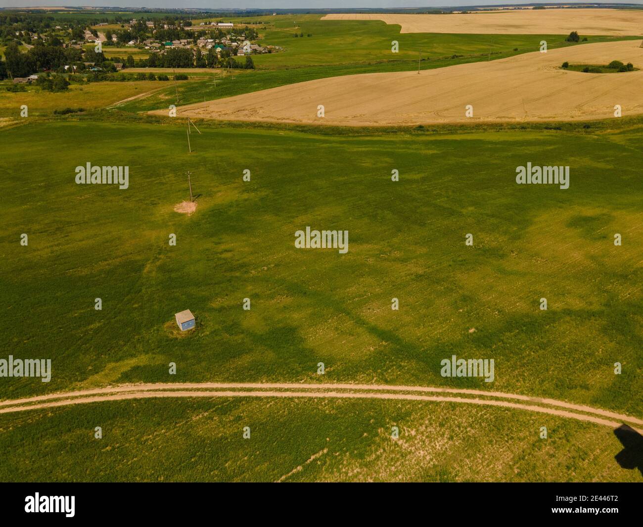 View from a flying drone, a field with green grass on a summer day ...