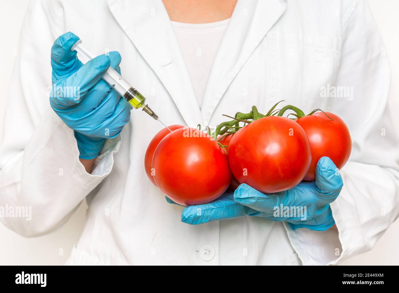 GMO scientist injecting liquid from syringe into red tomatoes ...
