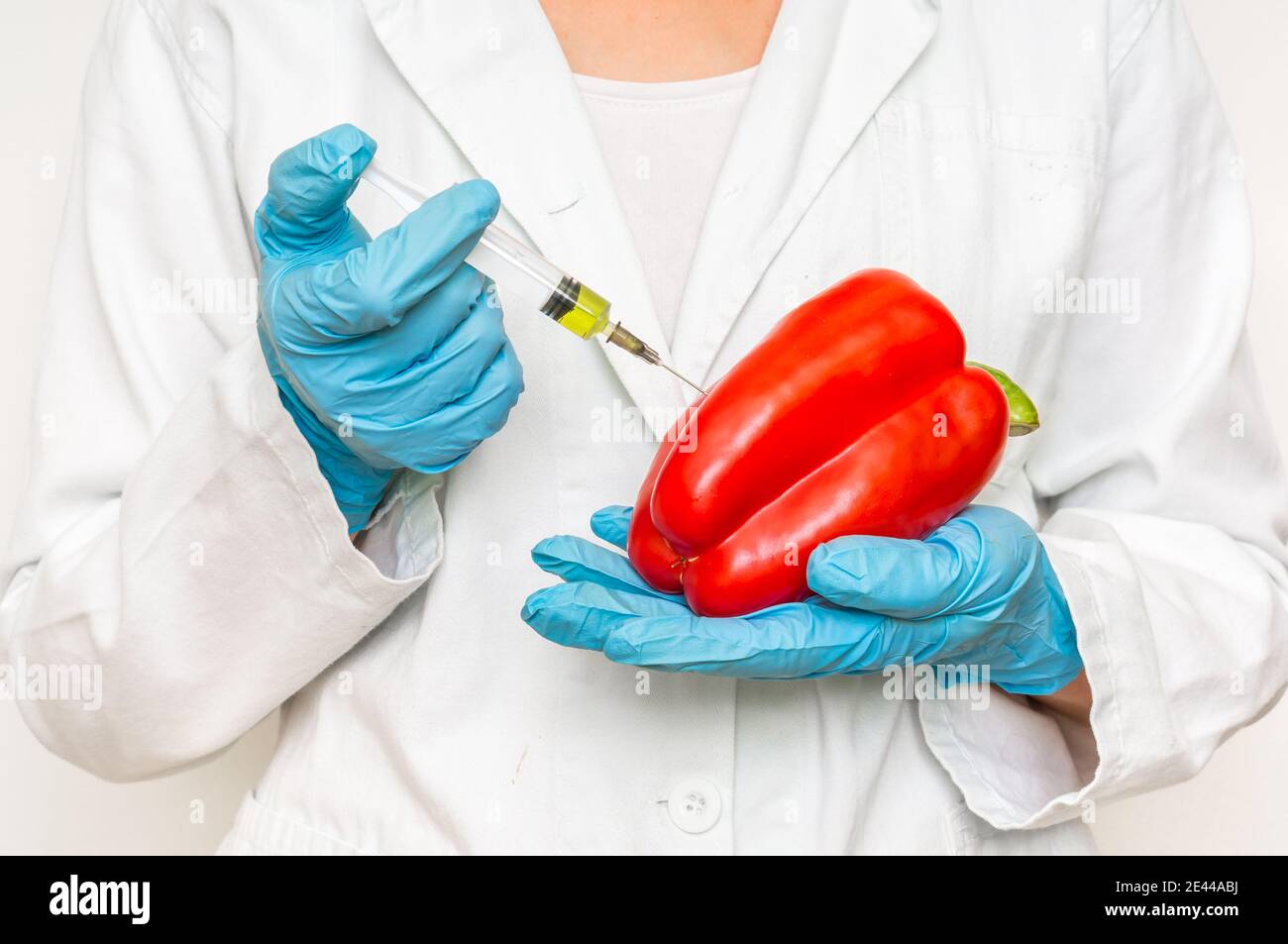 GMO scientist injecting liquid from syringe into red pepper ...
