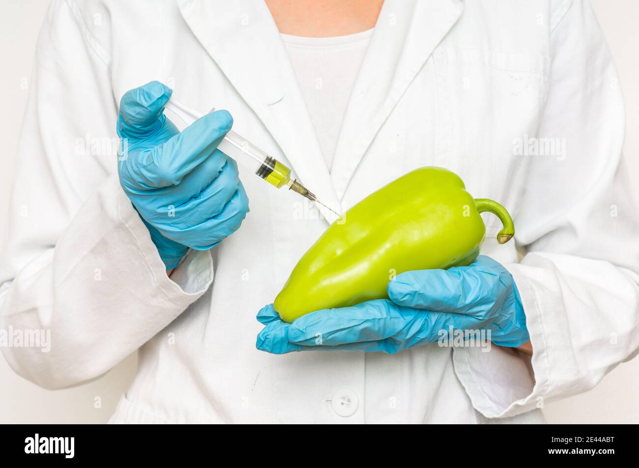 GMO scientist injecting liquid from syringe into pepper - genetically ...