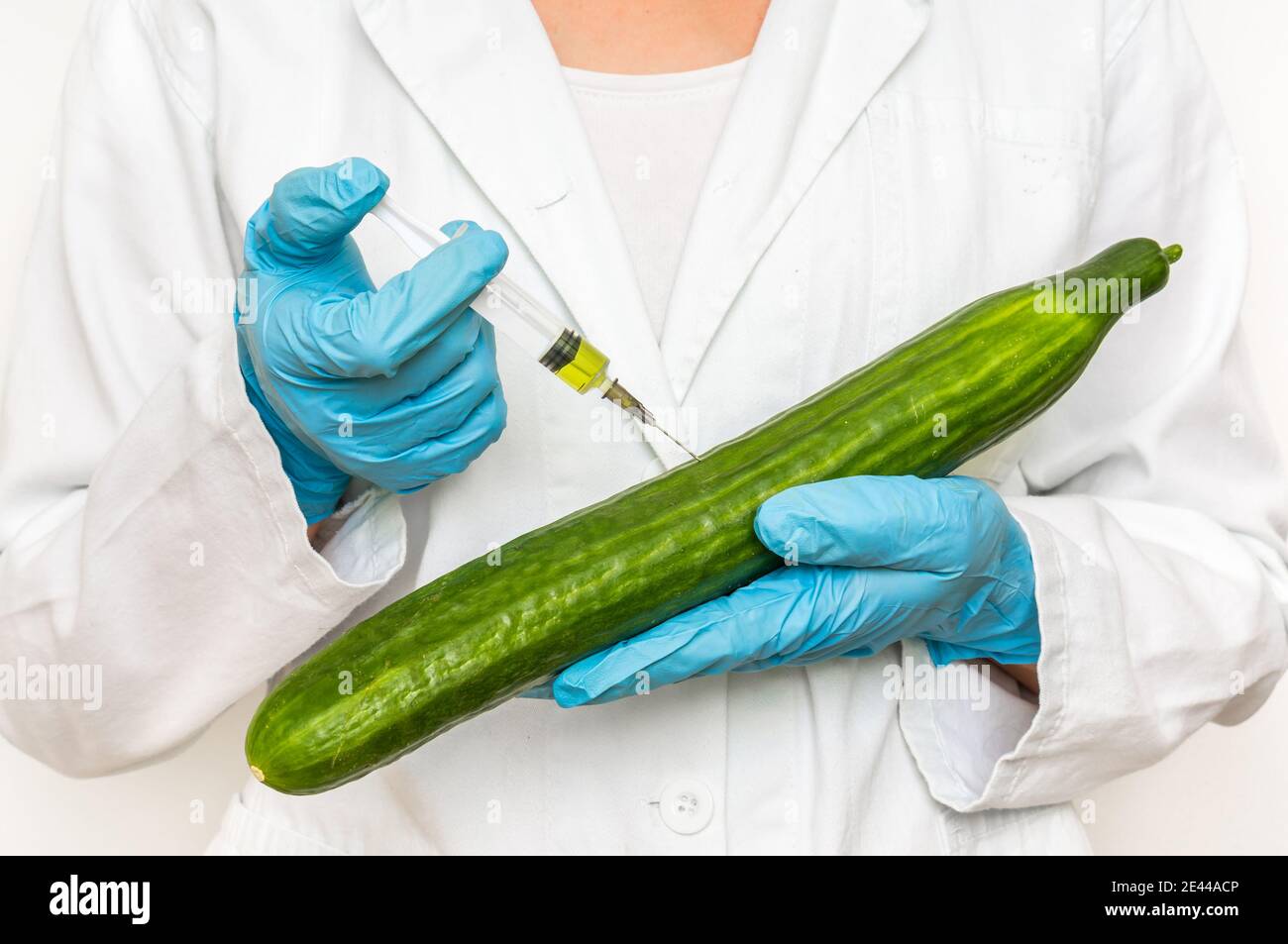 GMO scientist injecting liquid from syringe into cucumber - genetically ...
