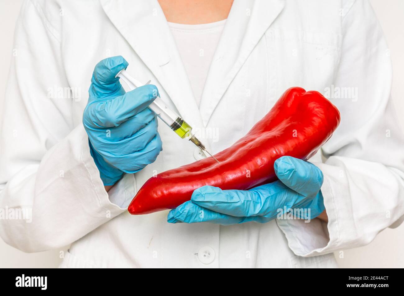 GMO scientist injecting liquid from syringe into red pepper ...