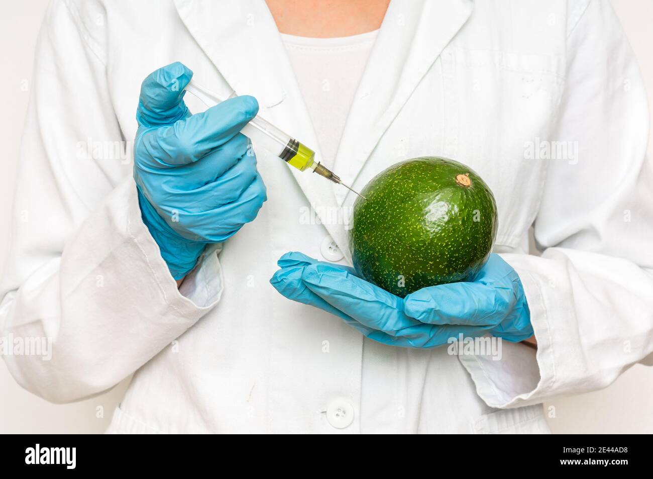 GMO scientist injecting liquid from syringe into avocado - genetically ...