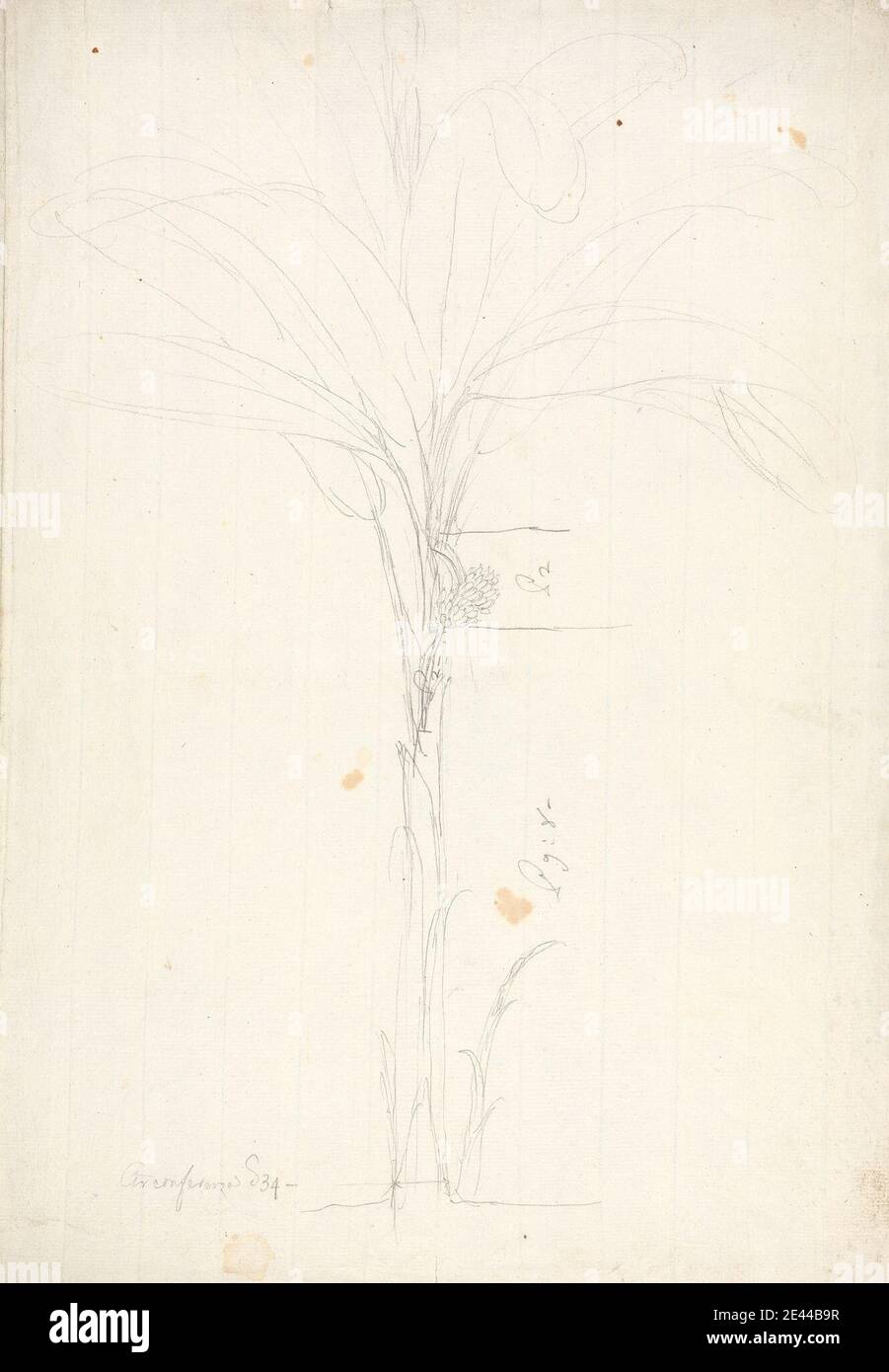 Preliminary outline drawing hi-res stock photography and images - Alamy