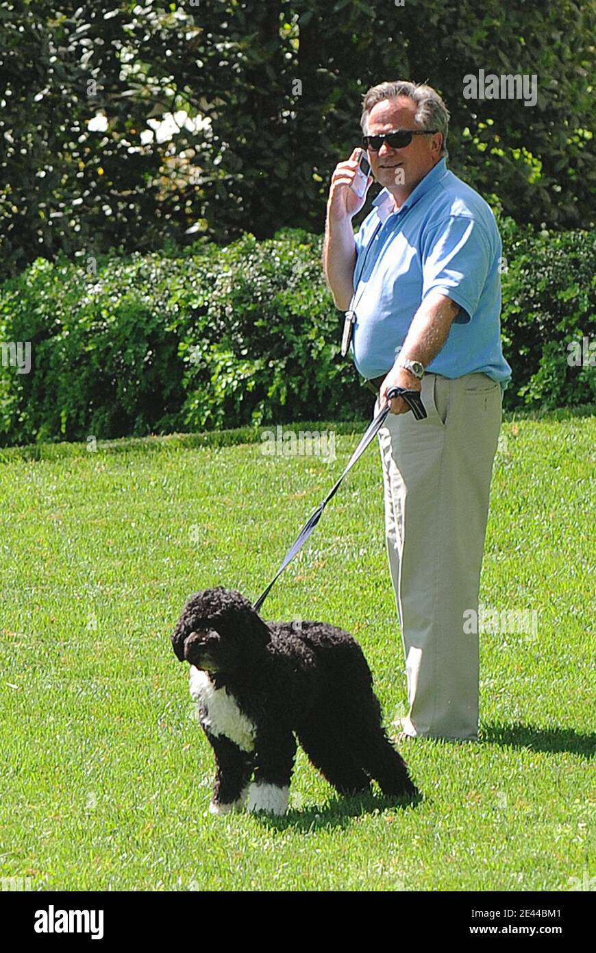 'Bo', the Obama family dog, walks across the White House in Washington ...