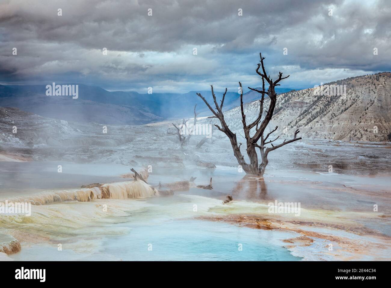 The terraces of Mammoth Hot springs in the Yellowstone National Park on ...