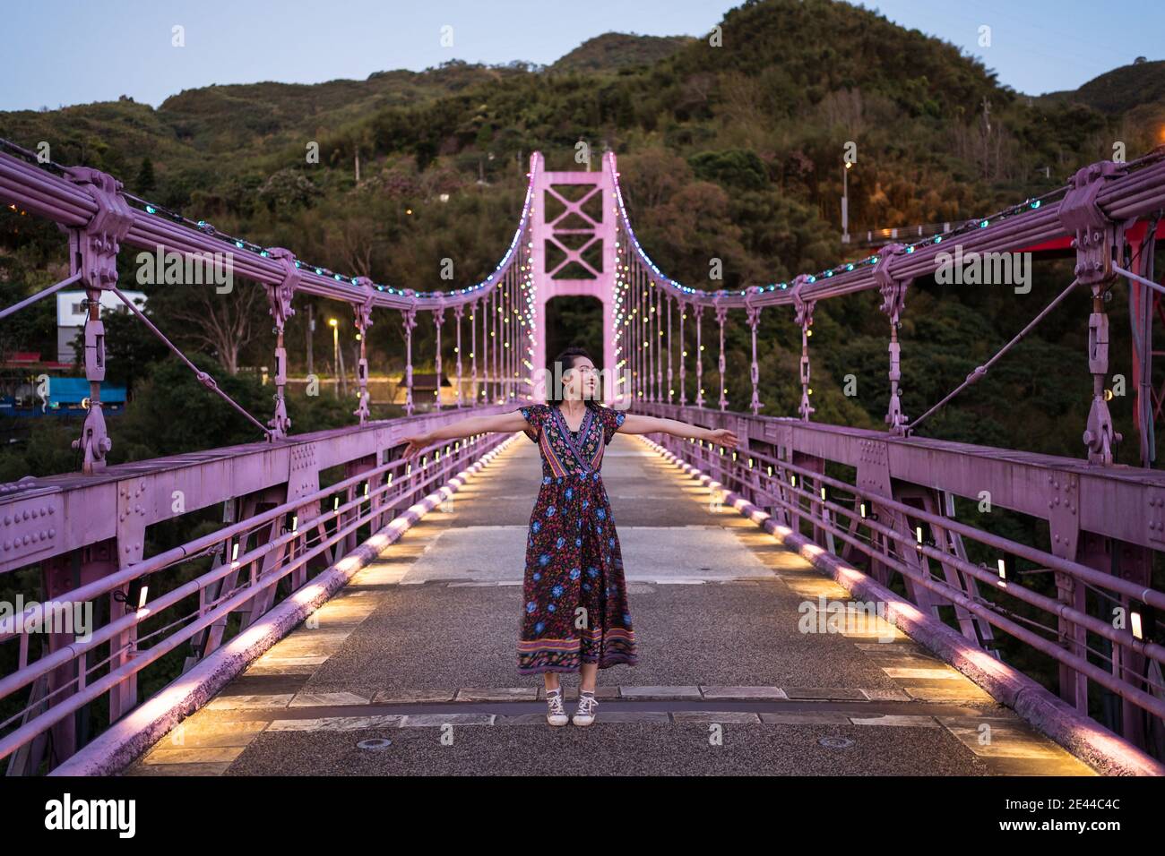 Bridge suspension arm hi-res stock photography and images - Alamy