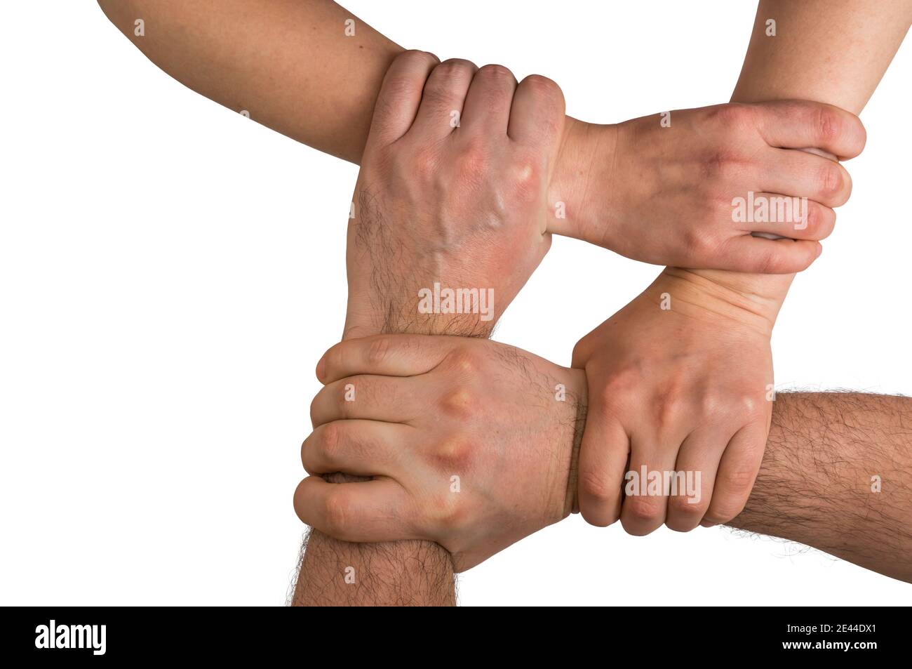 Four human arms crossed and holding together - teamwork concept Stock ...