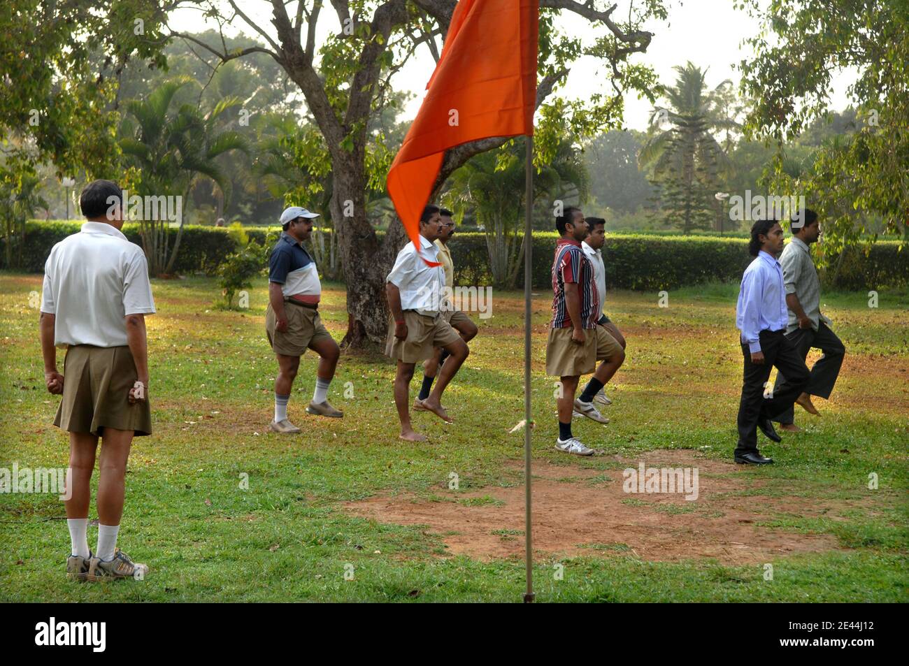 Rss Hindu Flag