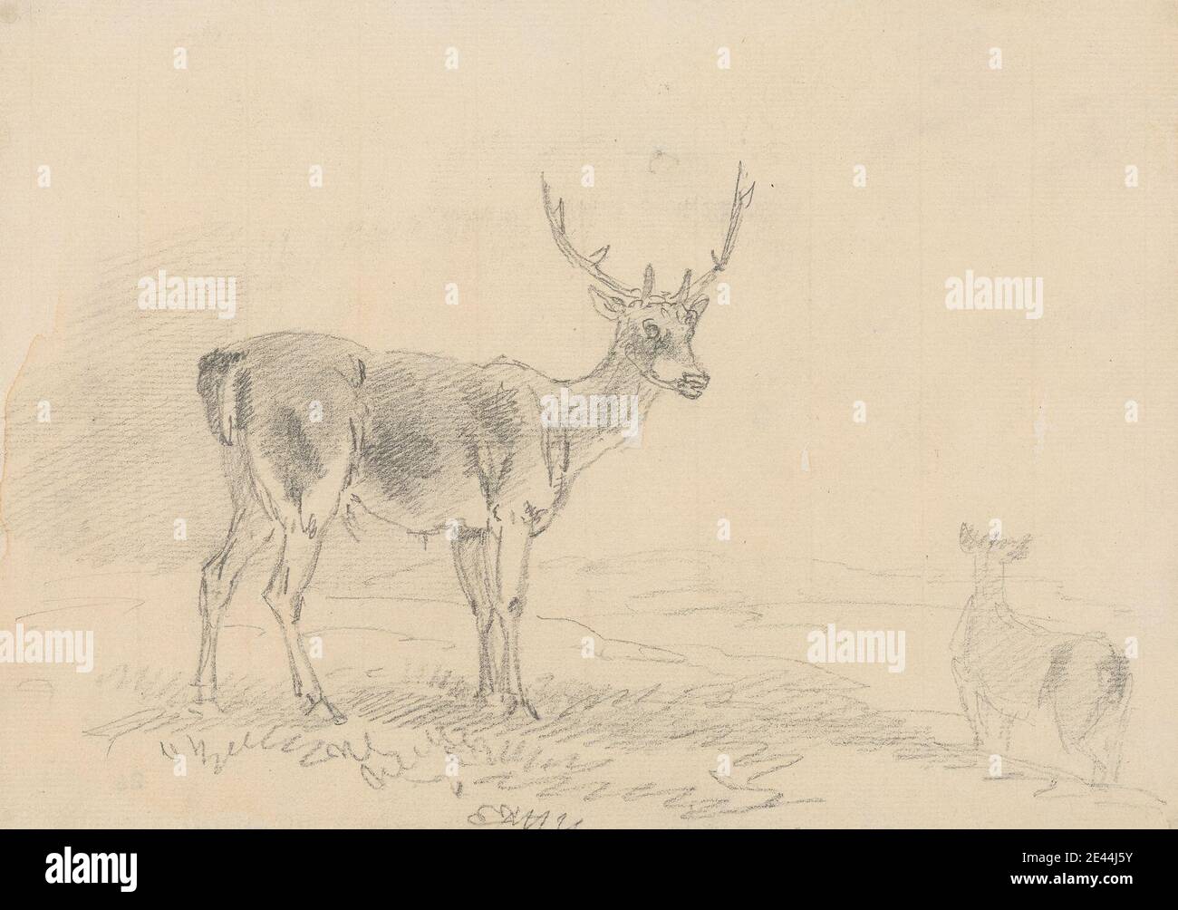 Graphite rubbing hi-res stock photography and images - Alamy