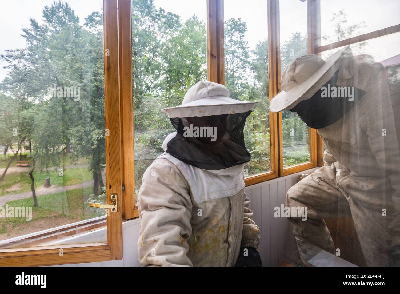 Destruction of the bee nest Stock Photo - Alamy