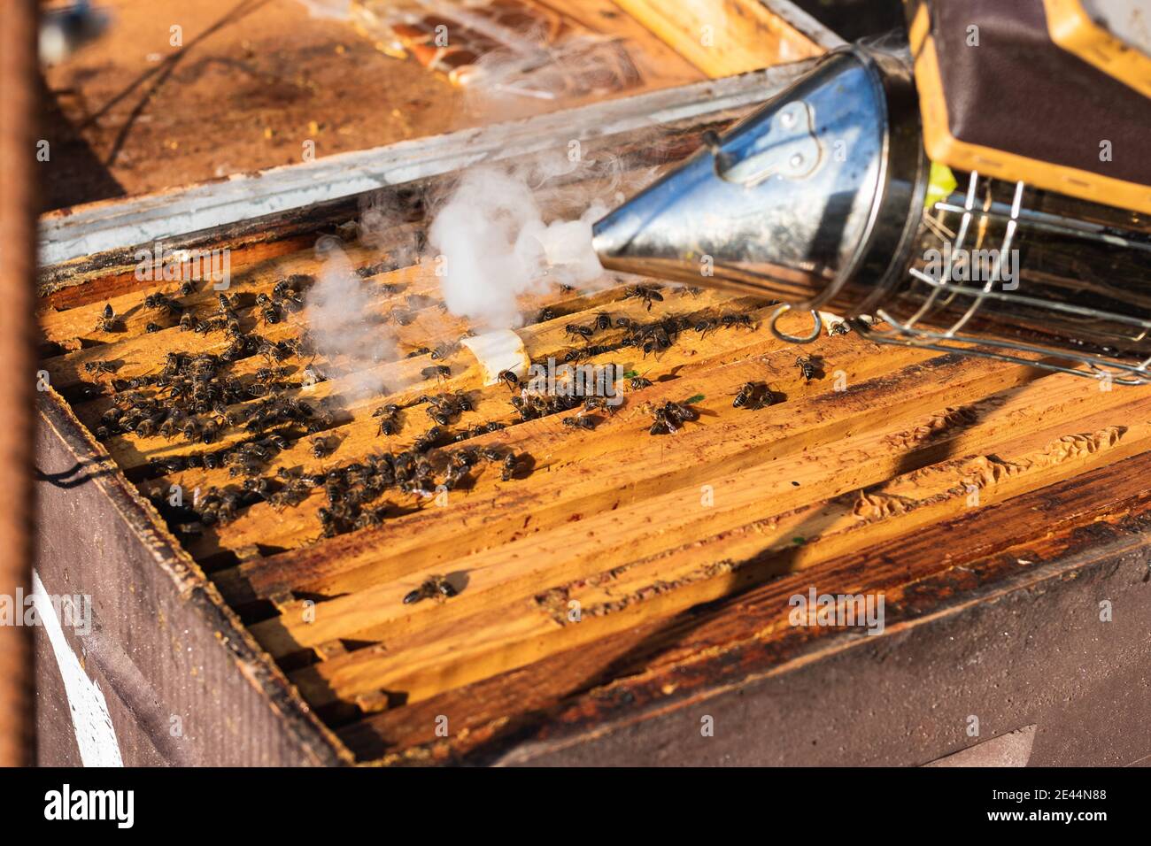 Fumigated hi-res stock photography and images - Alamy