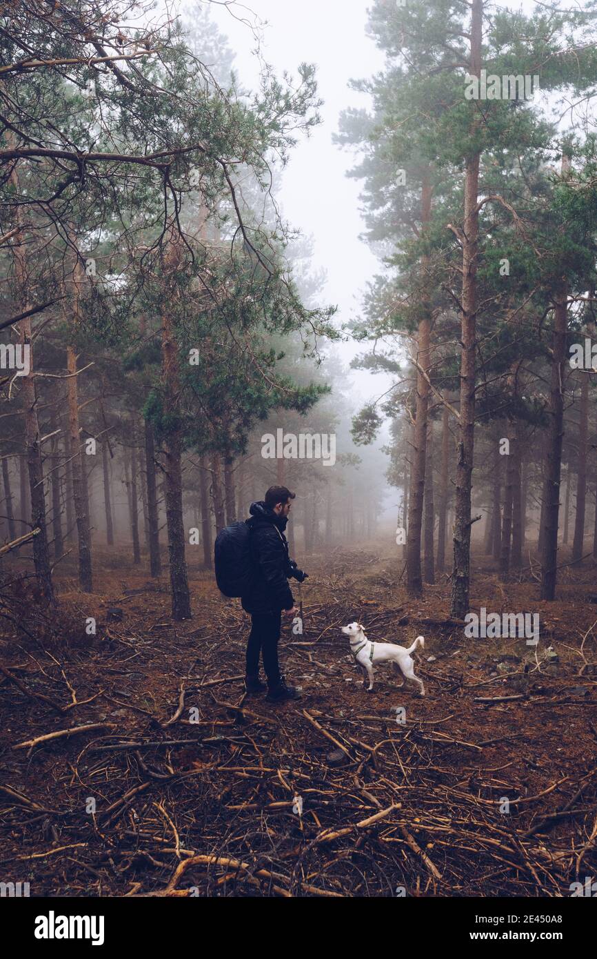 Side view of anonymous male walking along path in woods with dog on ...