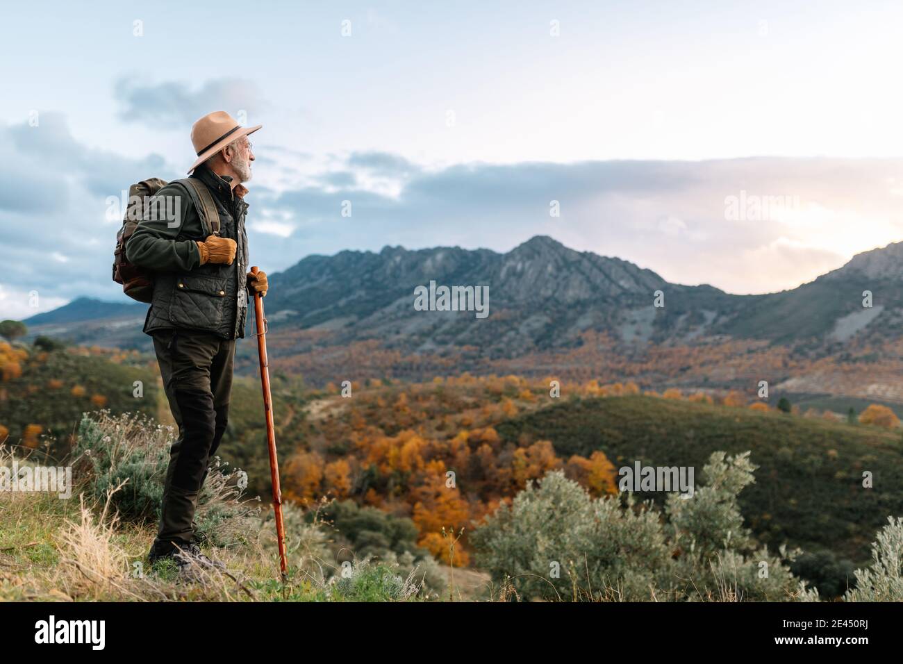 Elderly wanderer hi-res stock photography and images - Alamy