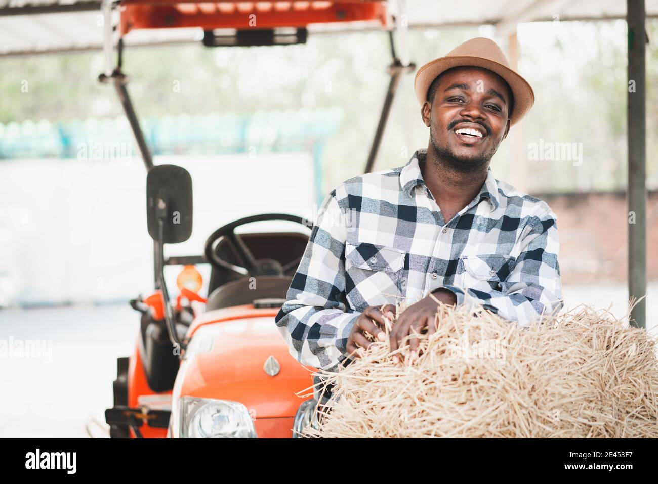 African farmer standing with rice straw bales and tractor. Agriculture ...