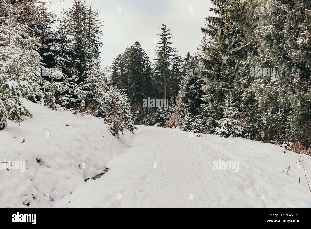 Walk through a snowy landscape with deep snow Stock Photo - Alamy
