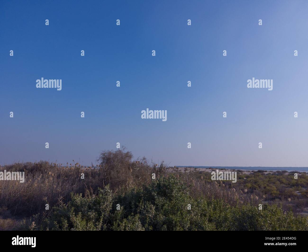 Dessert wild plants and nature | Spectacular Landscape View at Al ...